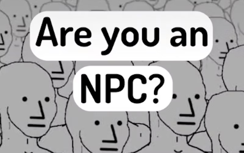 «NPC стримы» — безумные тренды Tiktok
